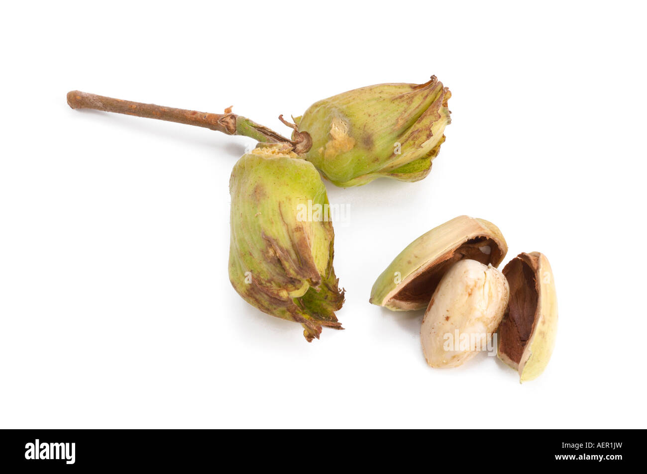 Cobnut hi-res stock photography and images - Alamy
