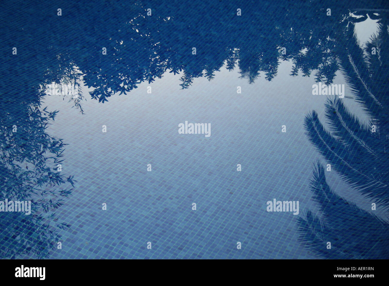 Reflections in the blue tiled swimming pool Stock Photo - Alamy
