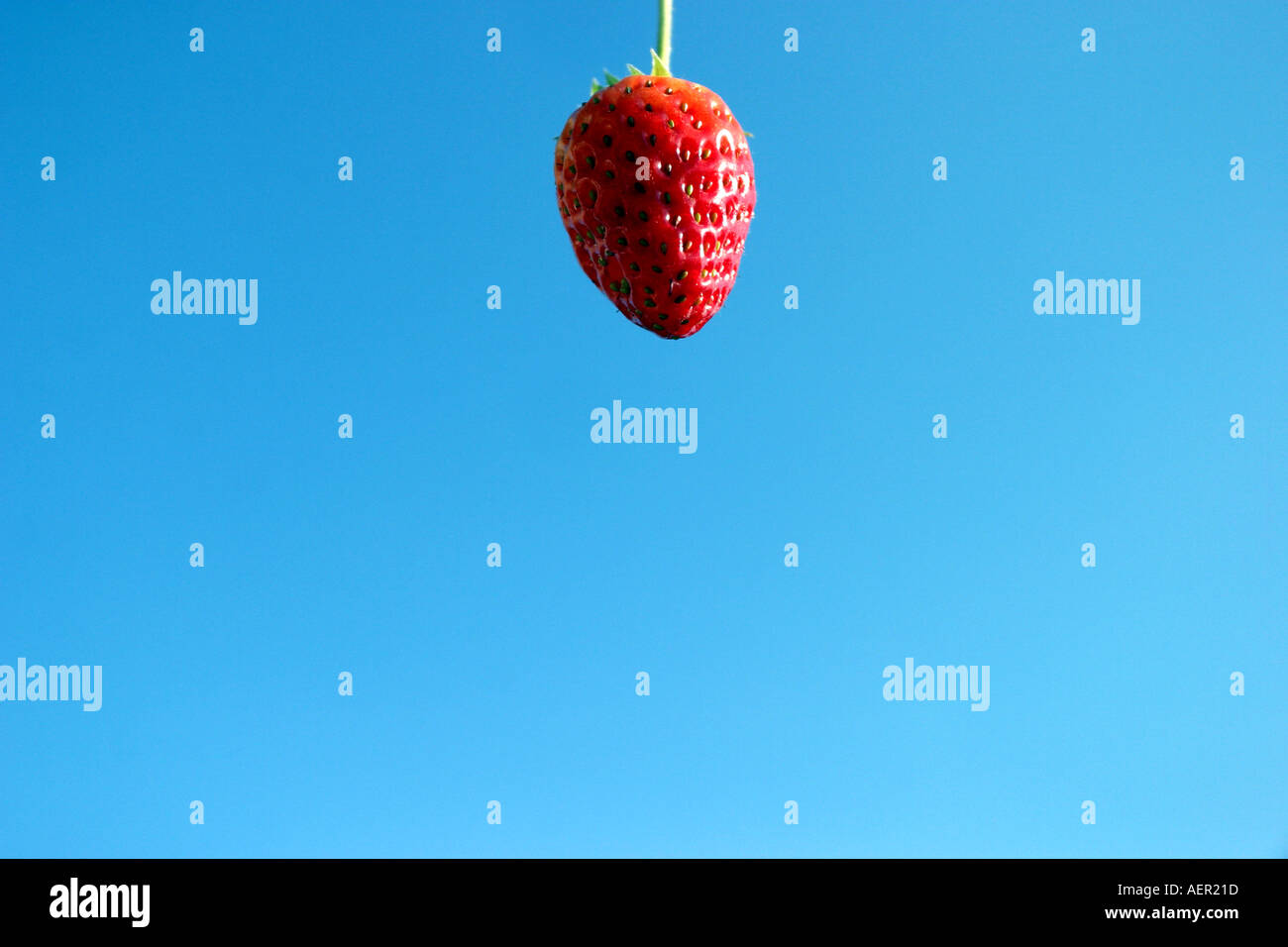 Strawberry in the sky Stock Photo - Alamy