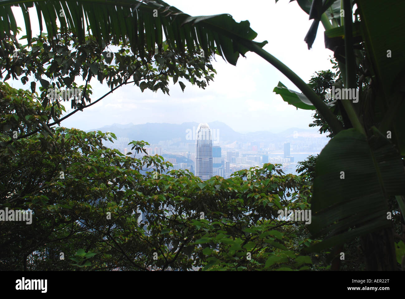 VIEW VICTORIA PEACK HONG KONG CHINA ASIA Stock Photo - Alamy
