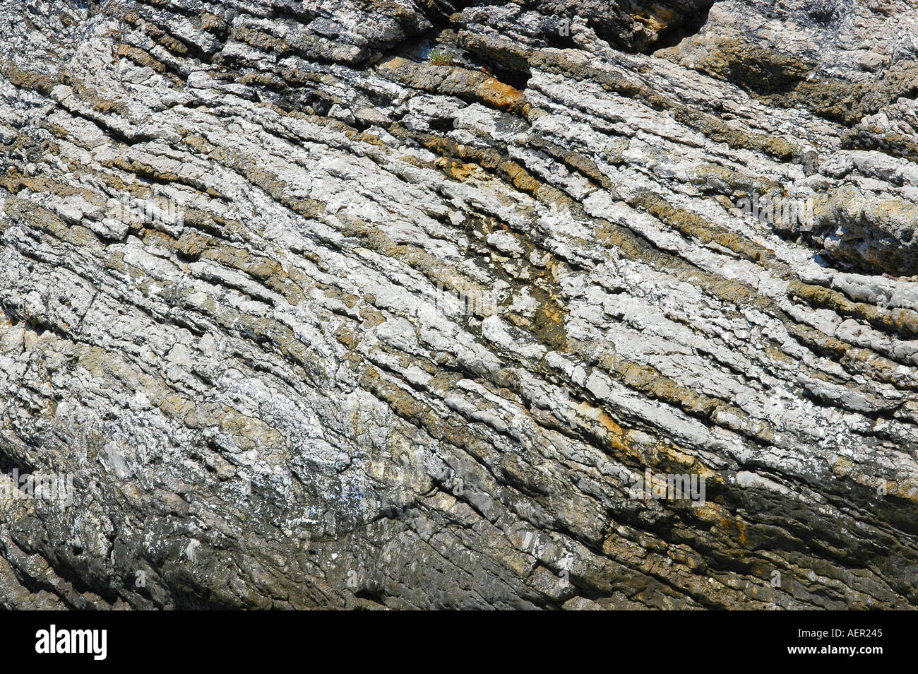 rock texture sea Stock Photo - Alamy