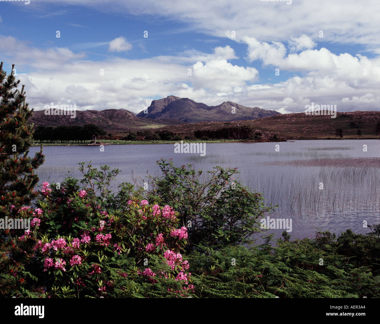 UK Scotland Wester Ross by Poolewe Highland Loch and mountains of ...