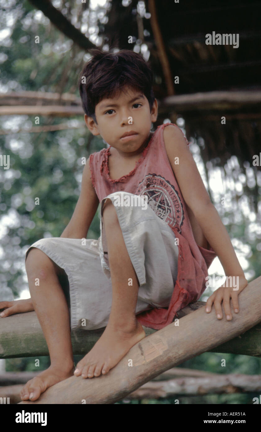 Portrait of a boy sitting in a tree from the Amazon region of Peru ...