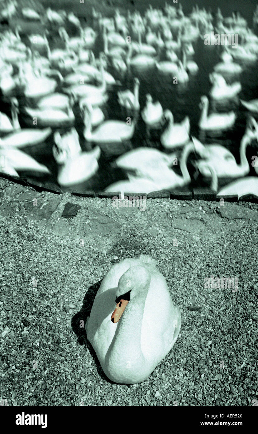 Singled out of crowd hi-res stock photography and images - Alamy