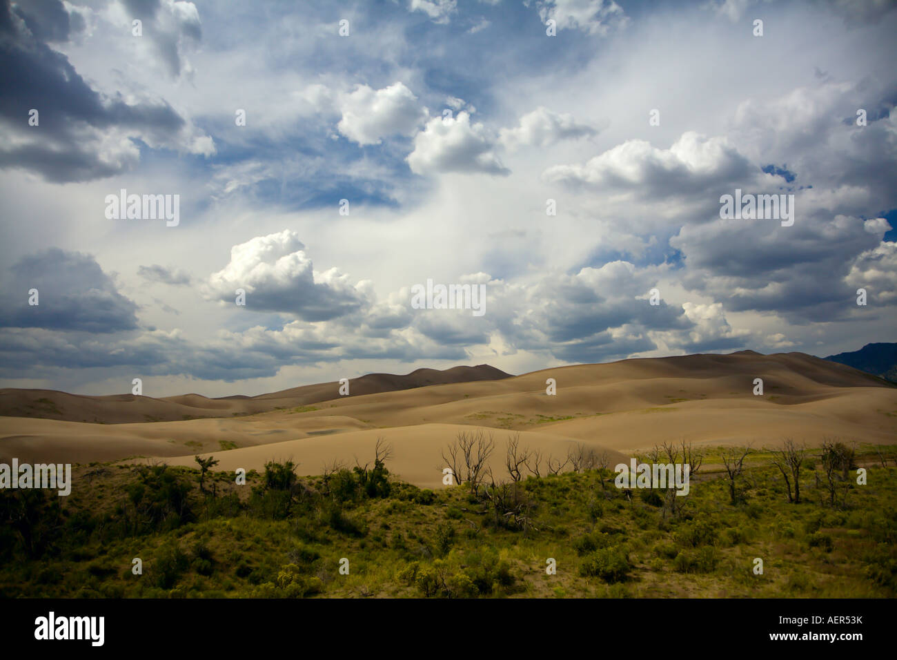 Sand dunes with storm rolling in Stock Photo - Alamy