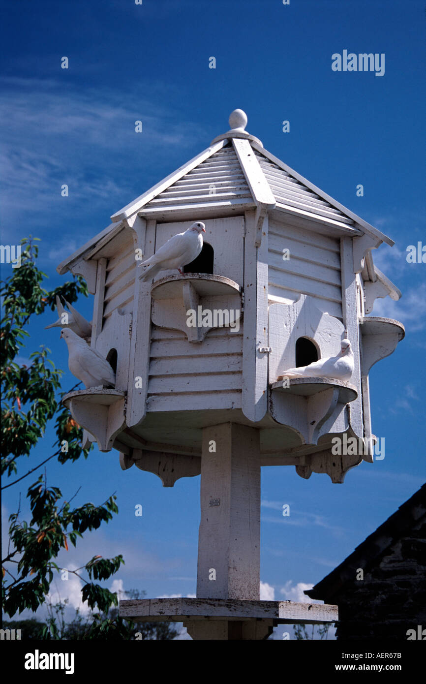 Dove house Cut Out Stock Images & Pictures - Alamy