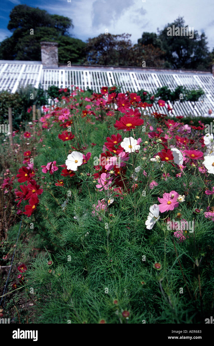 Glass house lost gardens heligan hi-res stock photography and images ...