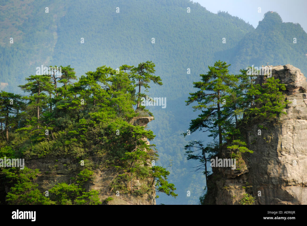 Limestone Rock formation out crop at first Chinese national park at ...