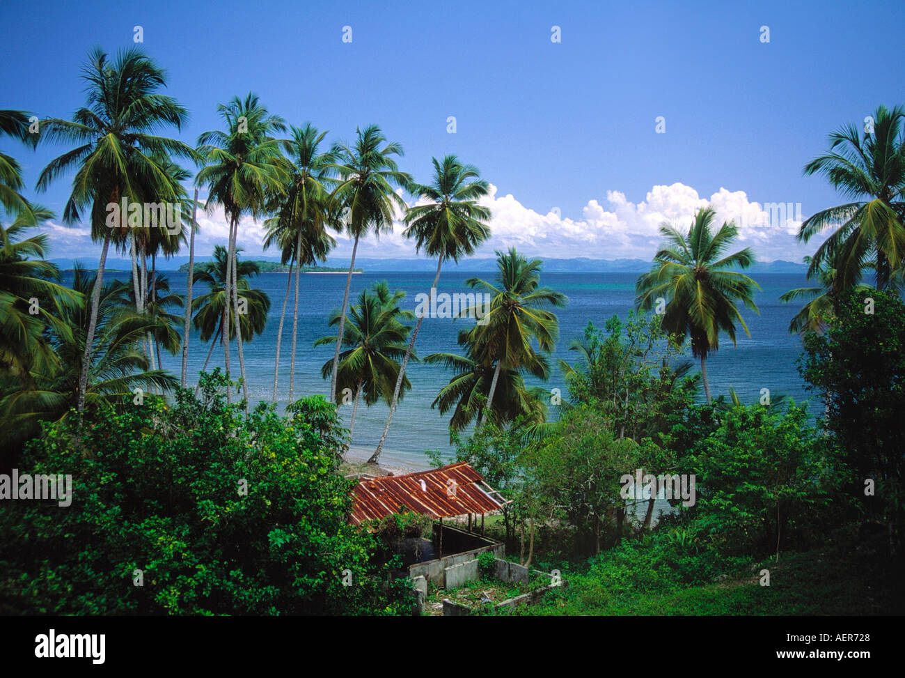 ruins of dwelling house samana peninsula dominican republic archipelago ...