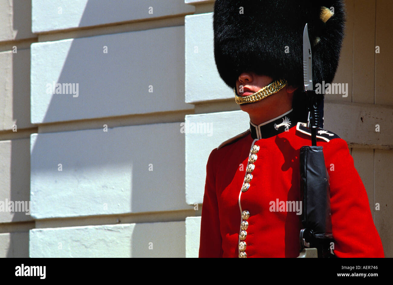 portrait of guard at buckingham palace city of london england great ...