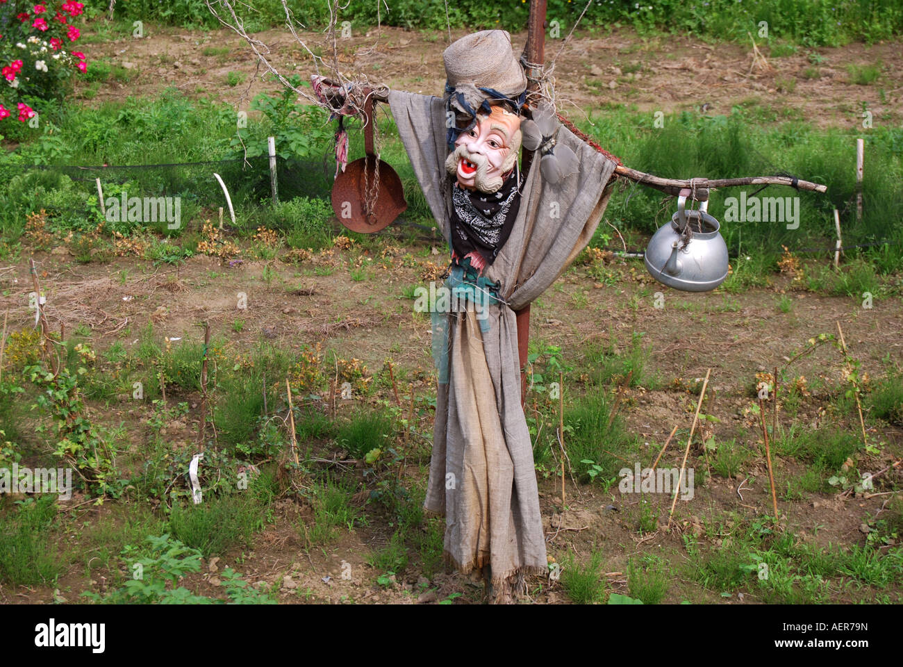 Lady scarecrow hi-res stock photography and images - Alamy