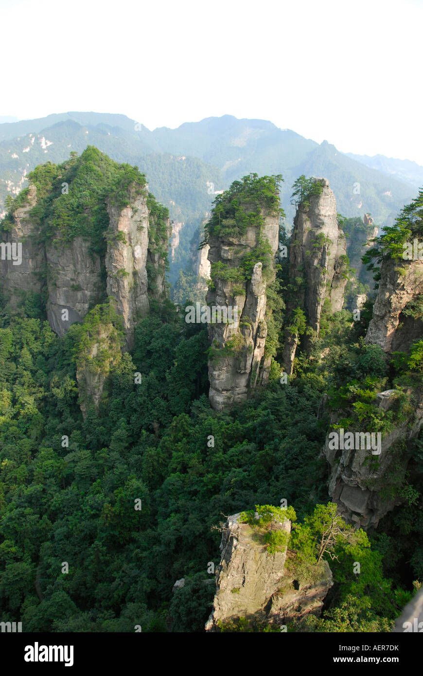 Limestone Rock formation out crop at first Chinese national park at ...