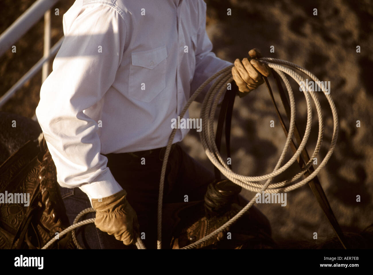 USA Wyoming Cowboy at rodeo using lasso Stock Photo - Alamy