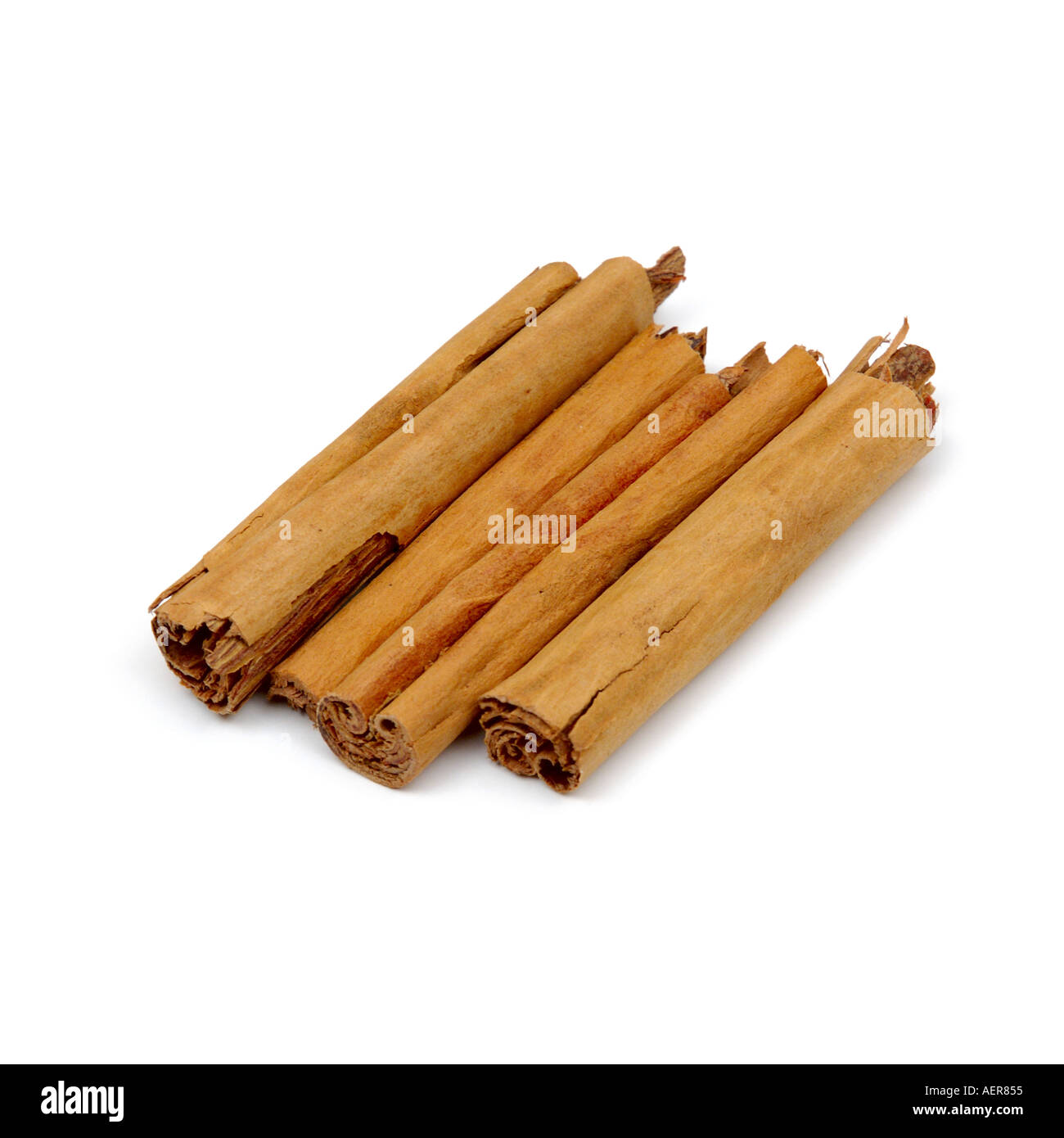 2 common Cut Out Stock Images & Pictures - Alamy