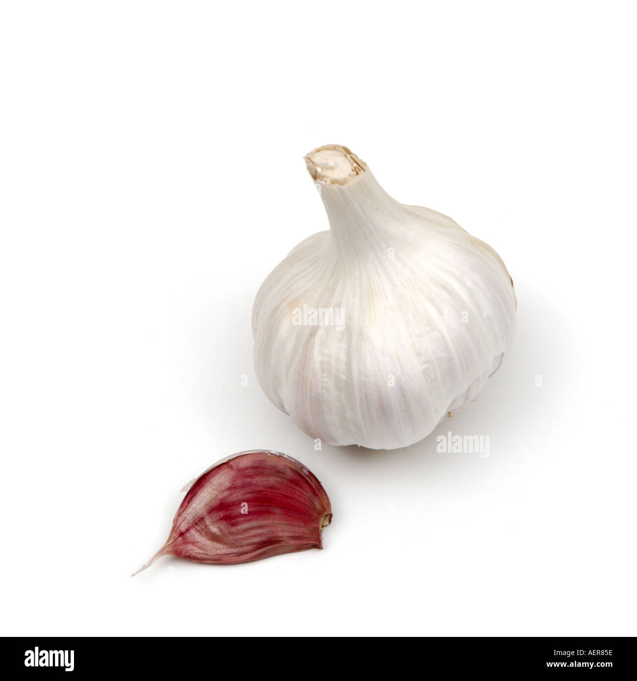 Herbaceous bulb Cut Out Stock Images & Pictures - Alamy