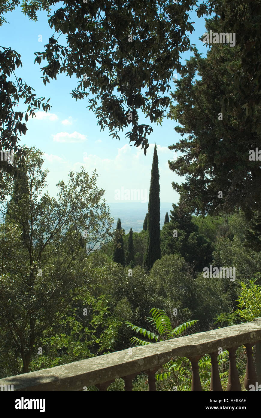 Tuscany Italy View of cypress trees and hillside vegetation from the ...