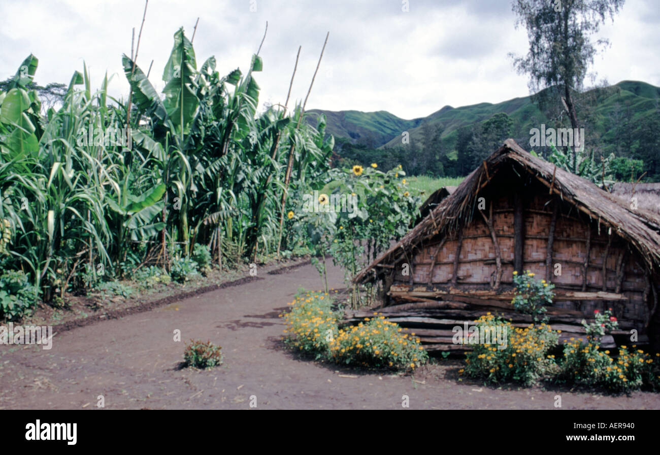 Small village in the Ramu Valley in the Highlands of Papua New Guinea ...
