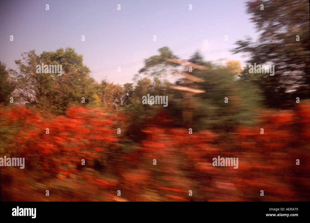 Trees out a train window Stock Photo - Alamy