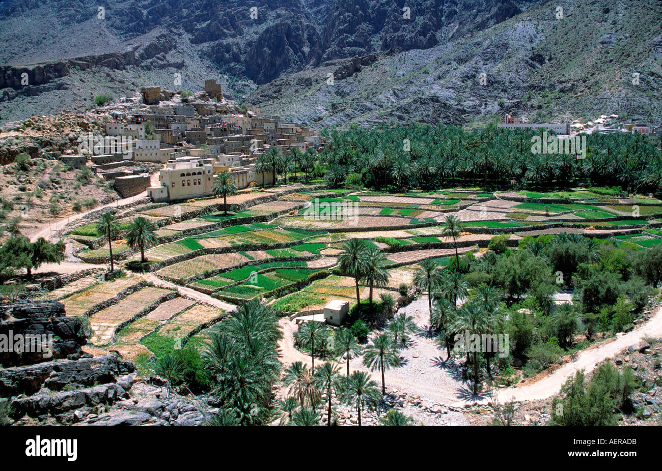 terraced agriculture village and oasis of wadi bani khalid oman Stock ...
