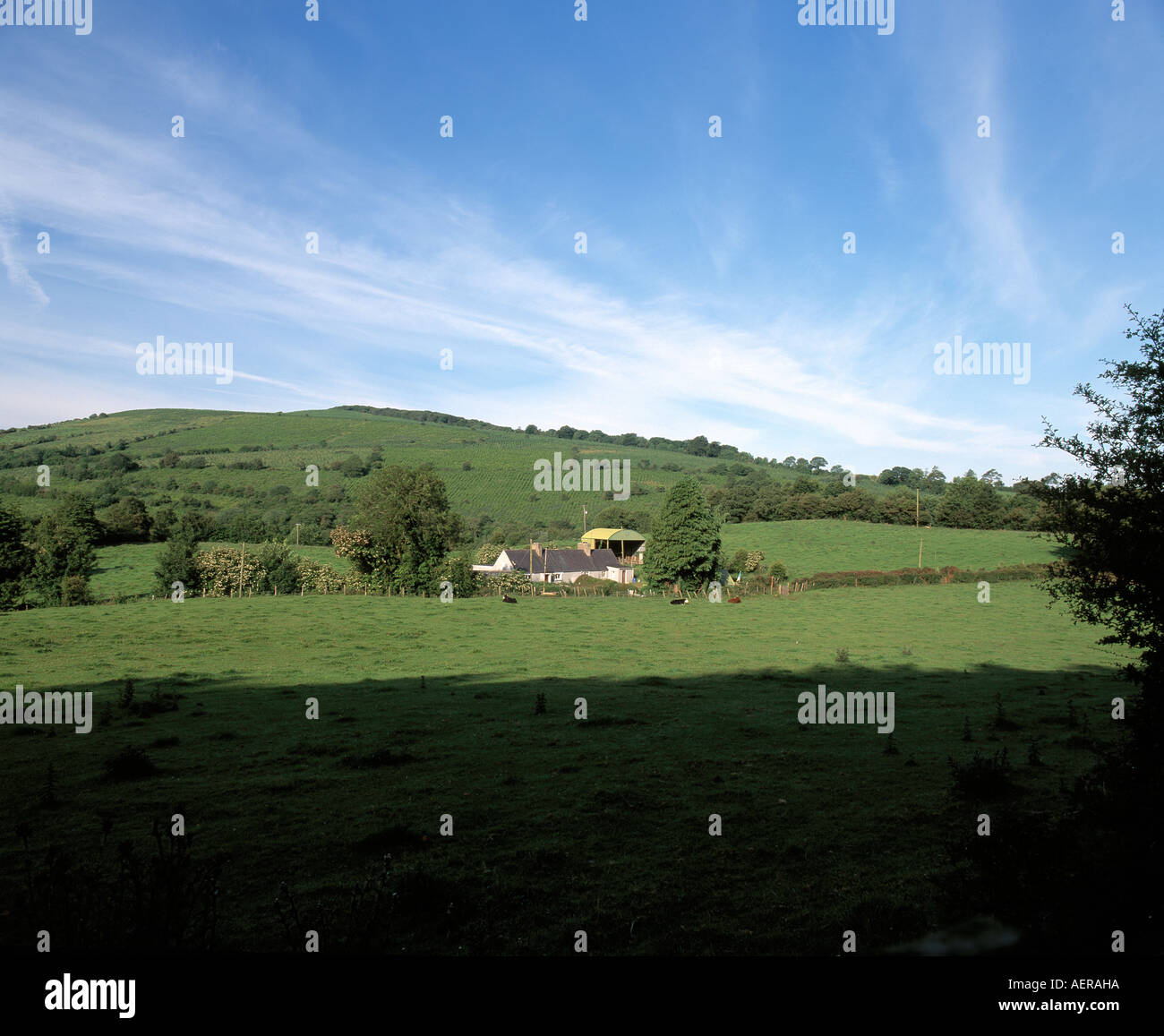 Small holdings hill farm hi-res stock photography and images - Alamy