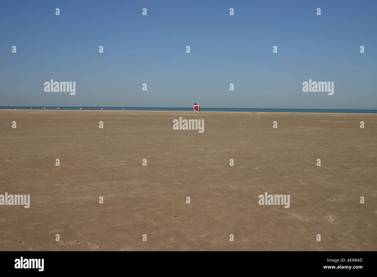 Alone on a huge beach Stock Photo - Alamy
