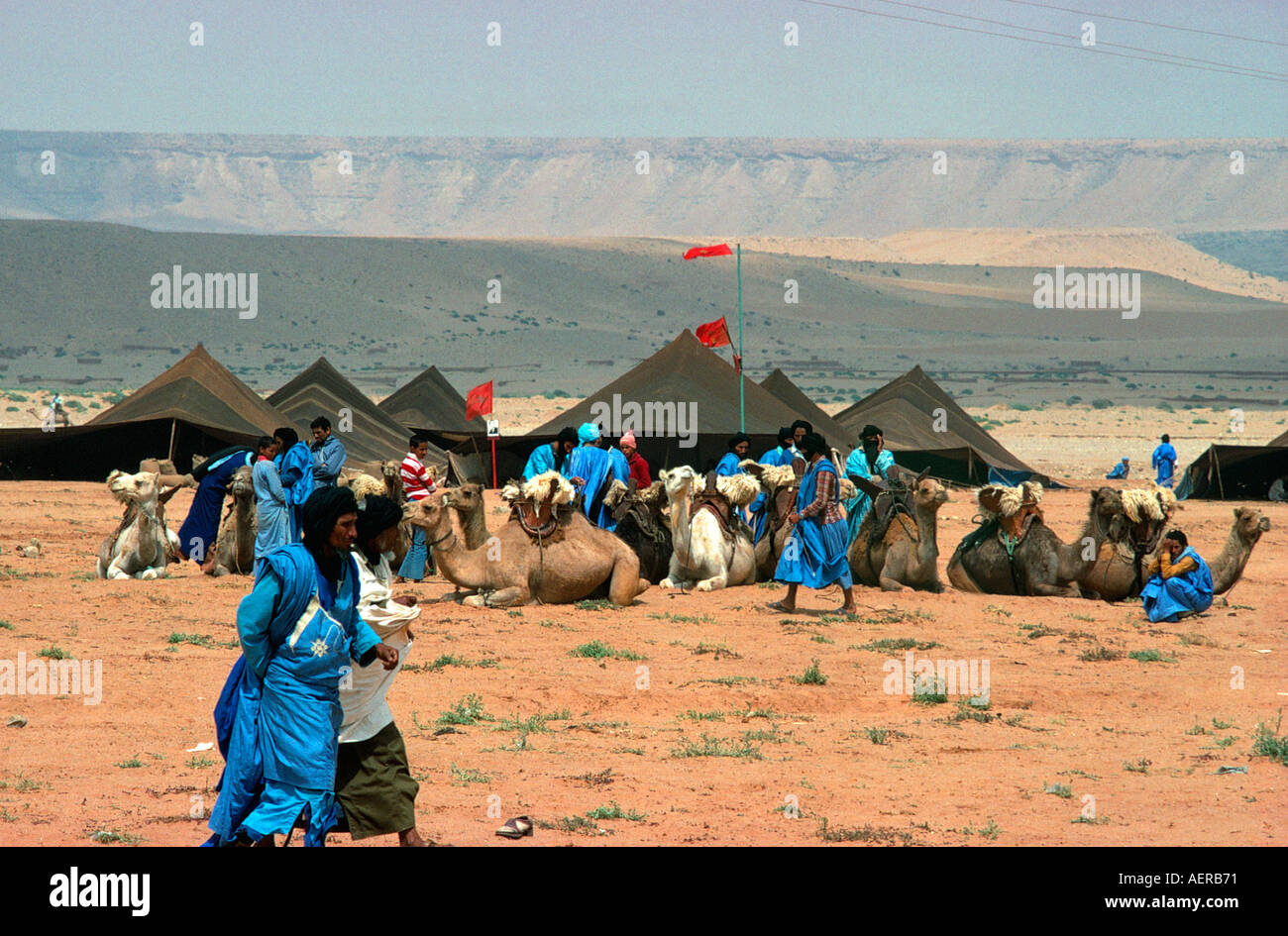 campside of tuareg tribesmen sahara desert morocco Stock Photo - Alamy