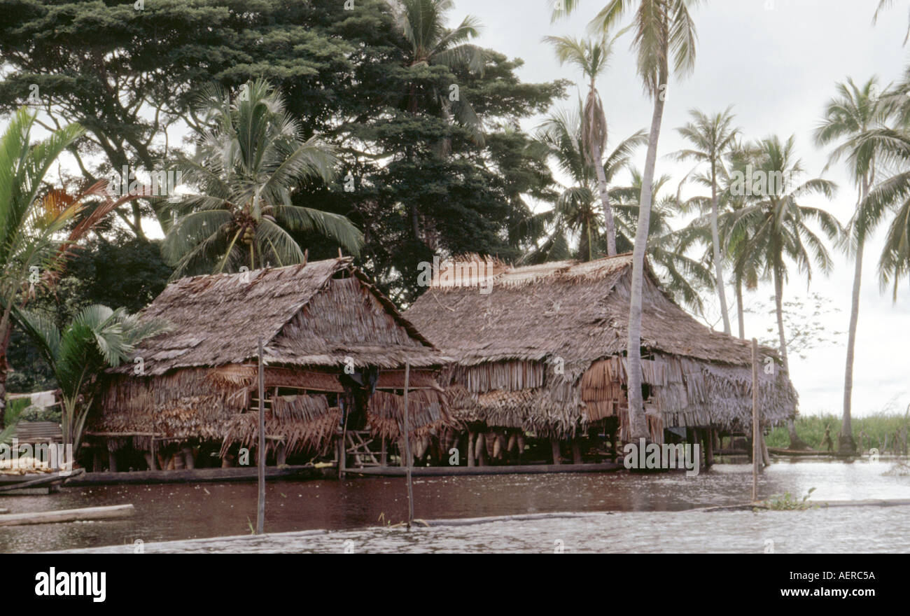 Thatched stilt houses on the flooded Sepik River during the wet season ...