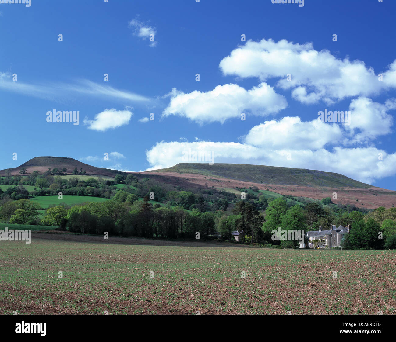Summer scene across open fields to distant hill in the Brecon Beacons ...