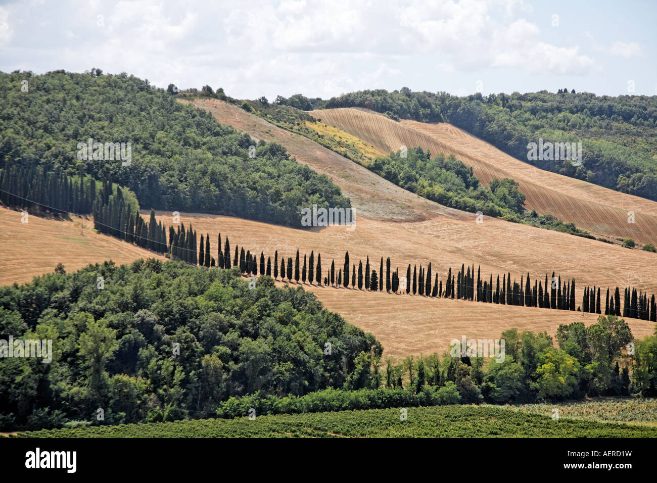 Classic Landscape Tuscany Italy Europe Stock Photo - Alamy