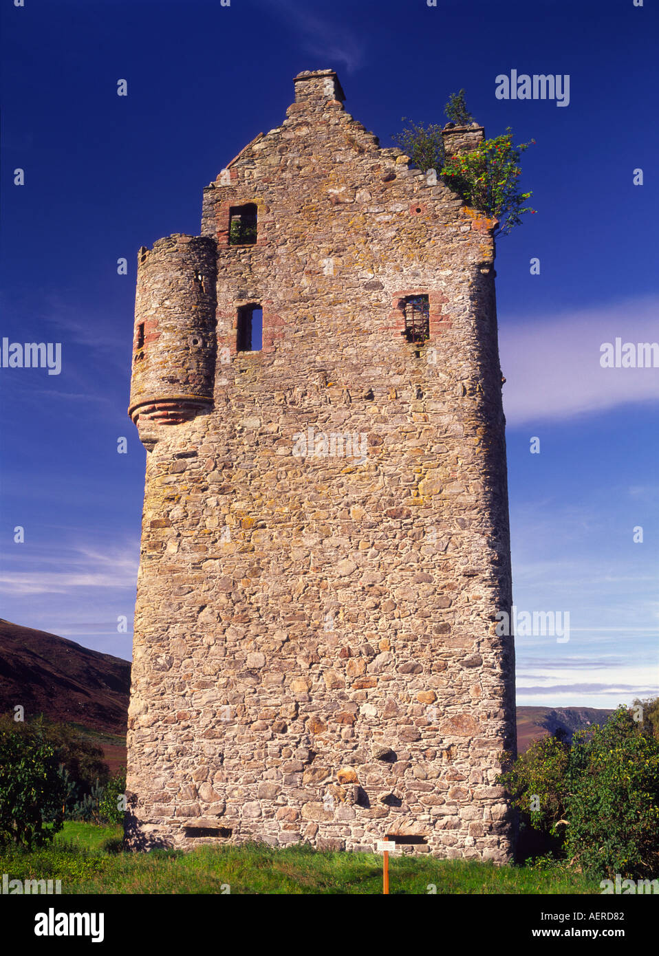 Invermark Castle ruin Glen Esk Angus Scotland Stock Photo - Alamy