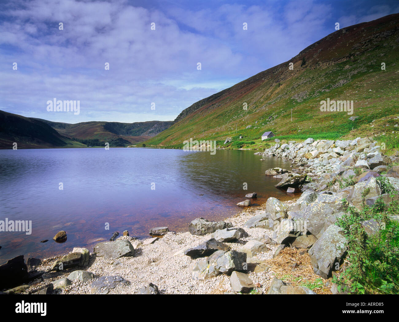 Loch Lee Glen Esk Angus Scotland Stock Photo - Alamy