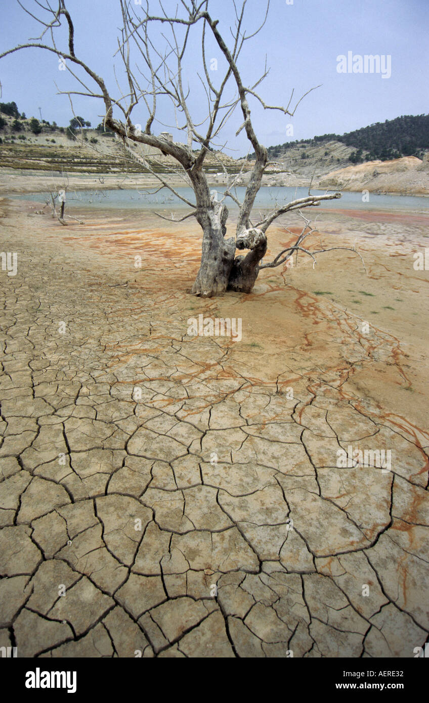 cracking extremely dry ground, Drought at the reservoir agriculture ...