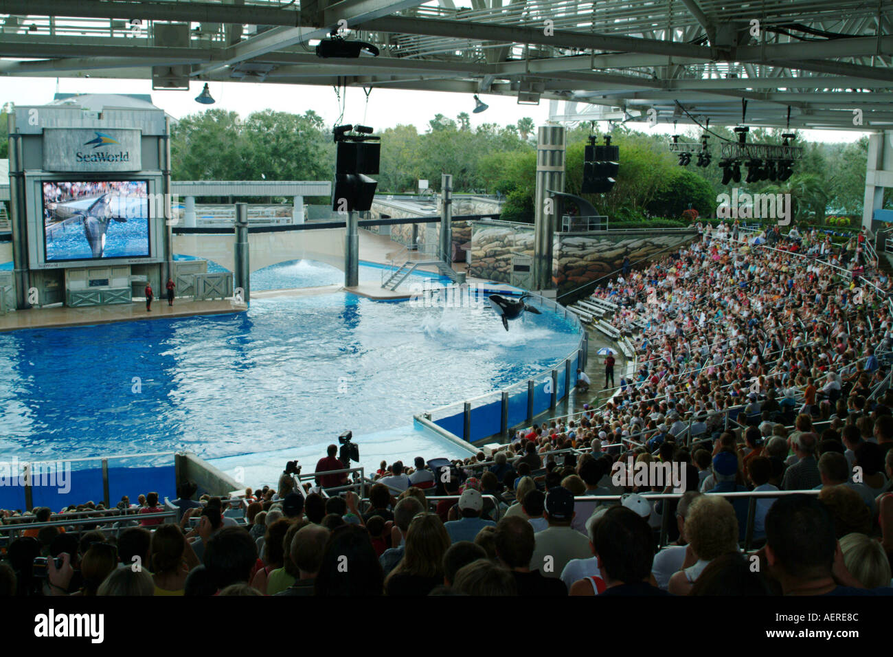 SeaWorld Orlando Florida USA Killer Whale Show Shamu Stadium Stock ...