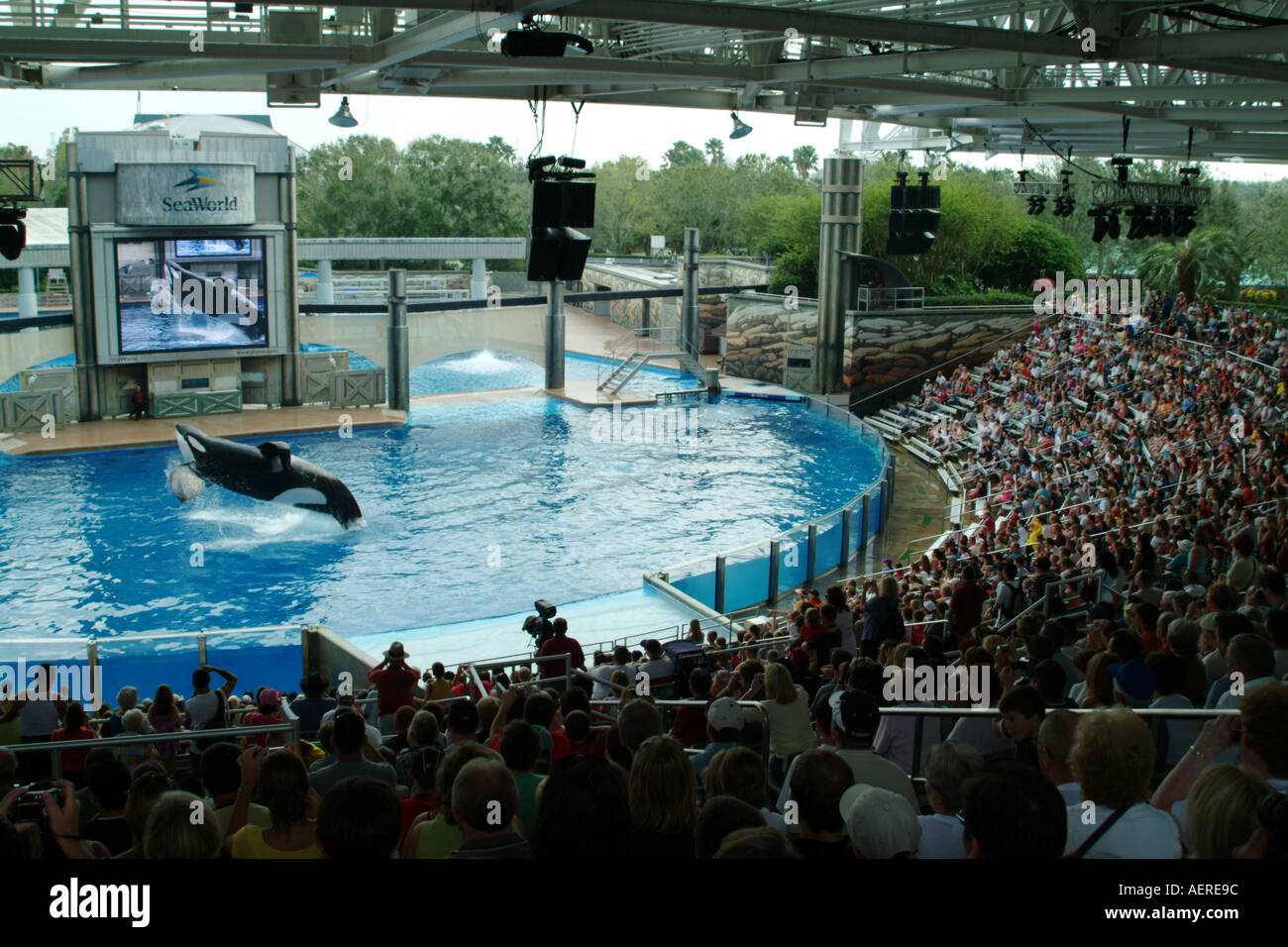 SeaWorld Orlando Florida USA Killer Whale Show Shamu Stadium Stock ...