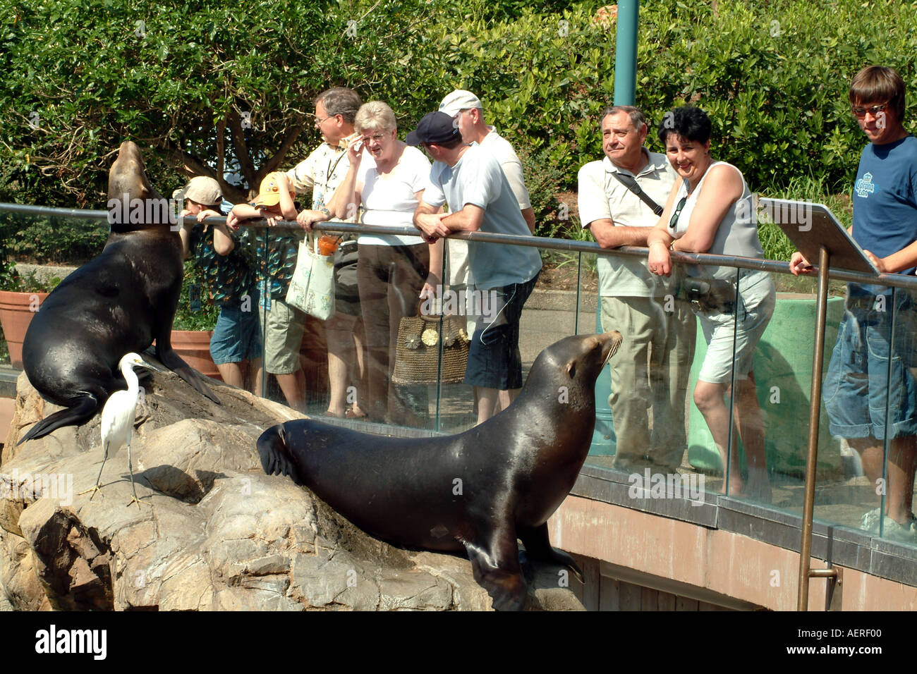Seaworld orlando family hi-res stock photography and images - Alamy