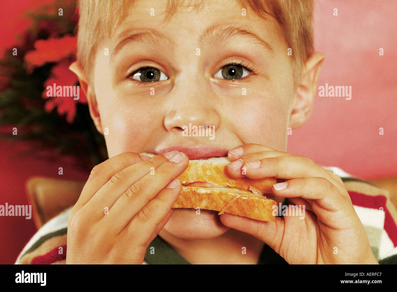 Boy Eating Sandwich Stock Photos & Boy Eating Sandwich Stock Images - Alamy