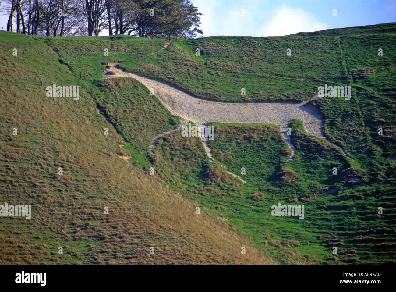 Cherhill Horse High Resolution Stock Photography and Images - Alamy