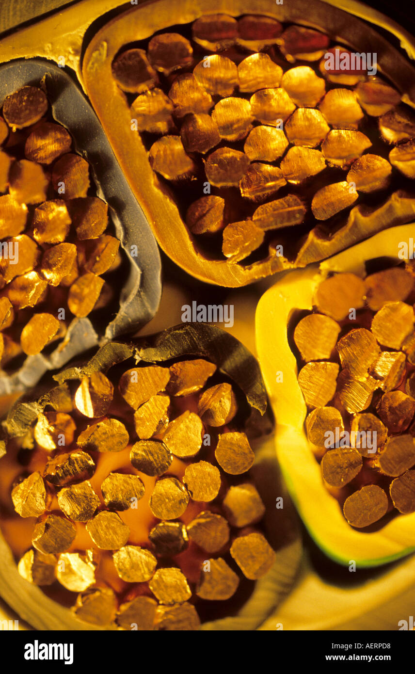 Wire cross section hi-res stock photography and images - Alamy