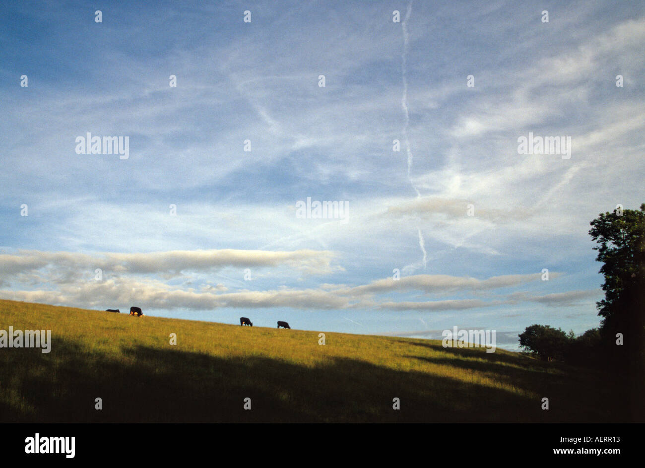 Anglezarke hi-res stock photography and images - Alamy