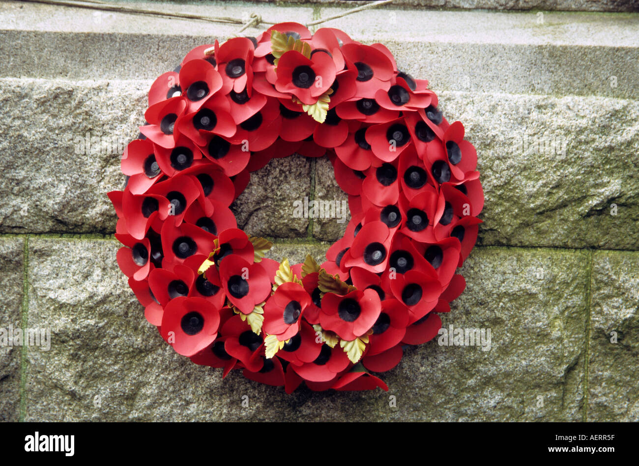 Ww1 poppy hi-res stock photography and images - Alamy
