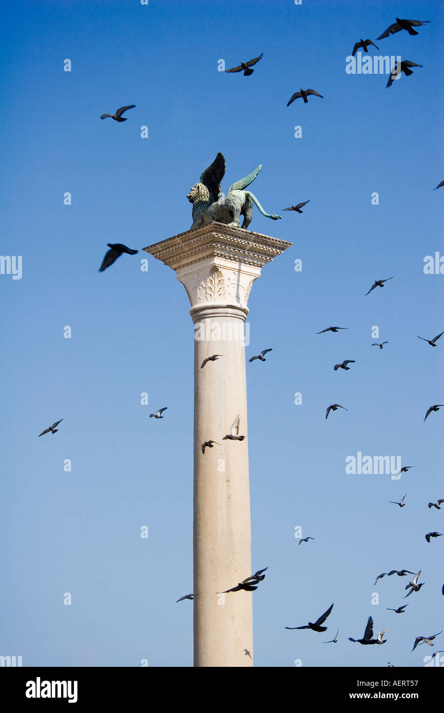 Pigeons and the Column of San Marco Venice Italy Stock Photo - Alamy