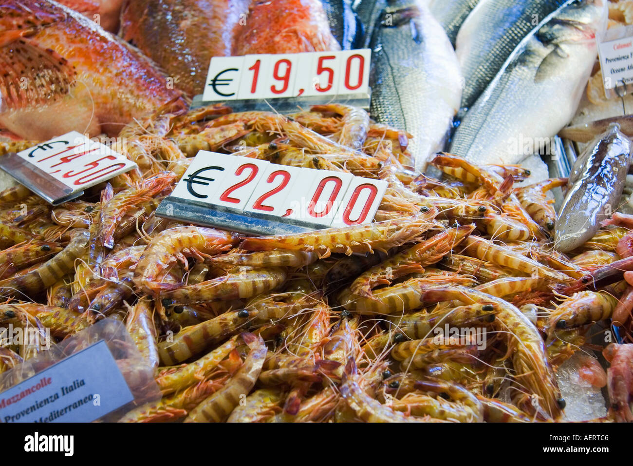 Striped tiger prawns for sale at 22 per kilo at the Rialto fish market ...