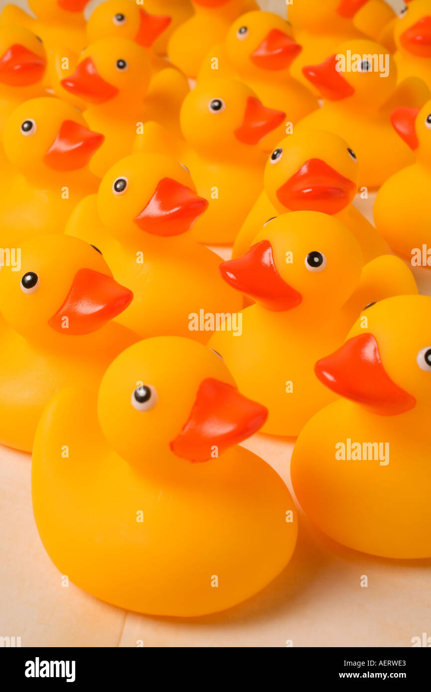Toy yellow rubber ducks Stock Photo - Alamy