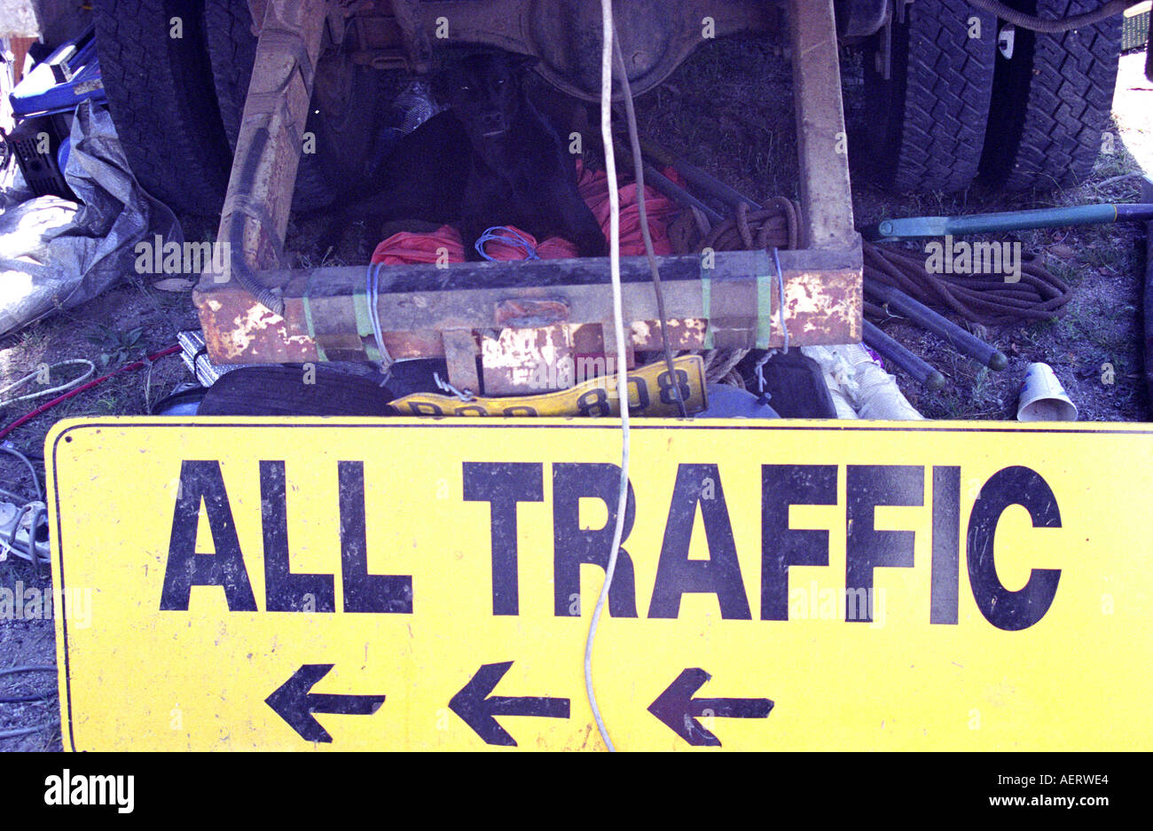 Dog under a truck hi-res stock photography and images - Alamy