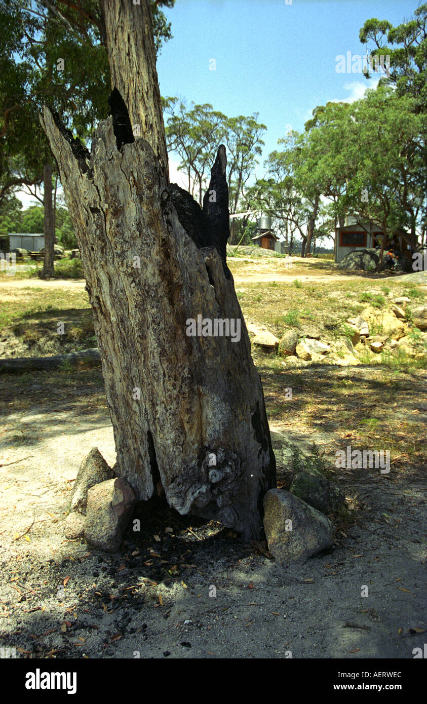 Bush dance australian colonial hi-res stock photography and images - Alamy