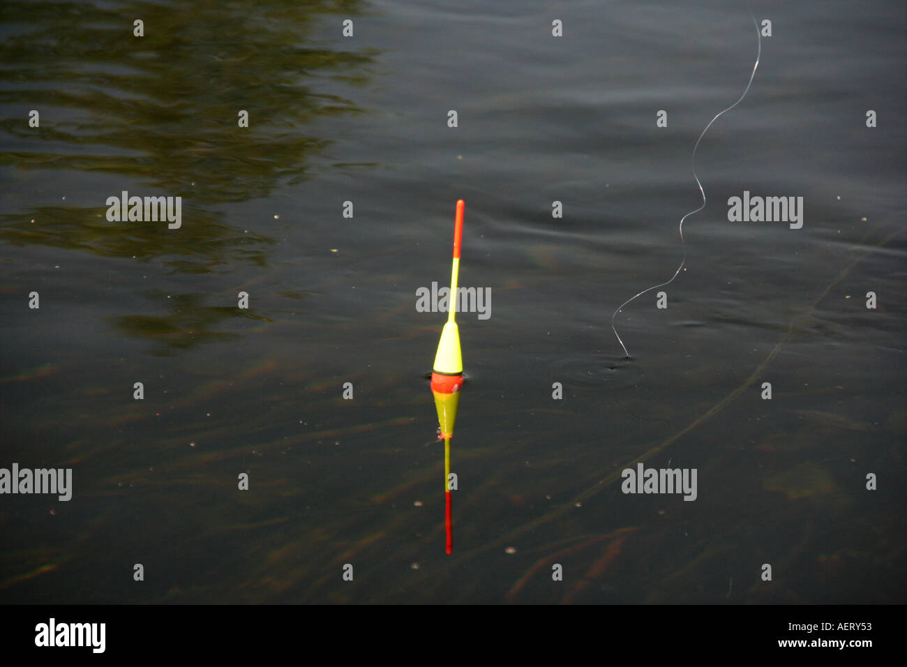Bob floating on the water Stock Photo - Alamy
