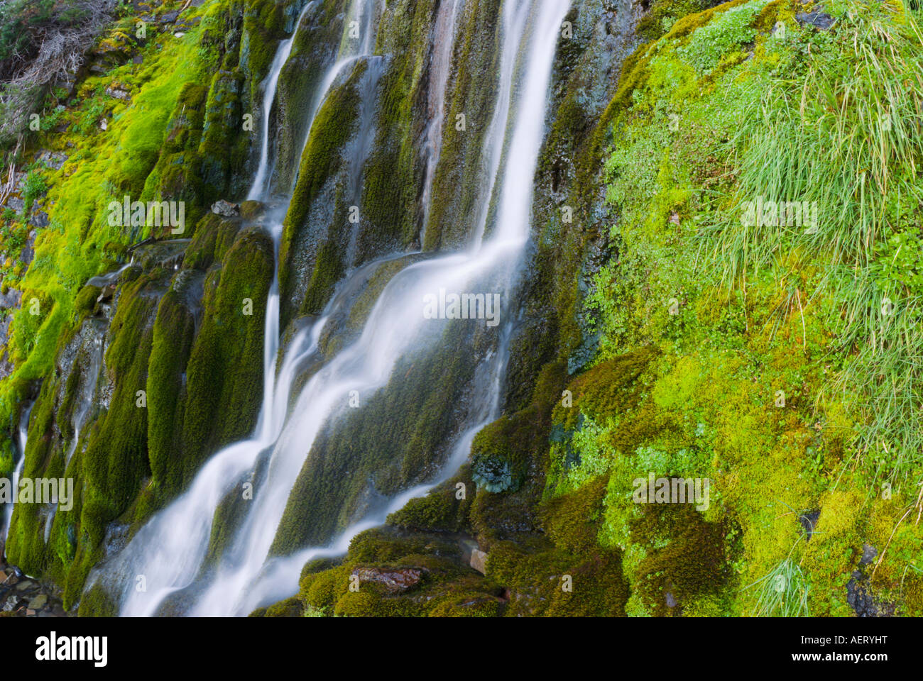 Vidae fall hi-res stock photography and images - Alamy