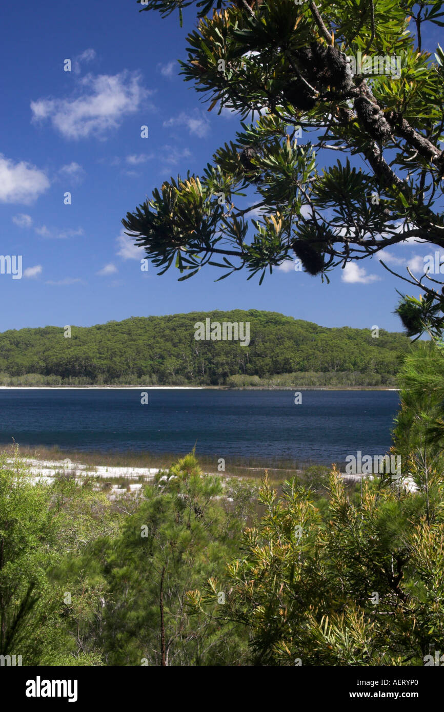 Lake Birrabeen Fraser Island Queensland Australia Stock Photo - Alamy