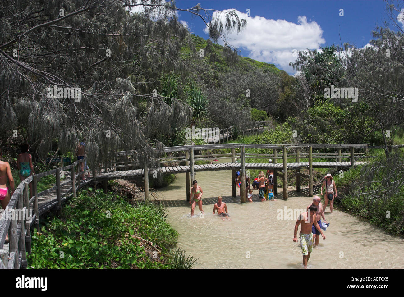 Eli Creek, Fraser Island Queensland Australia Stock Photo - Alamy