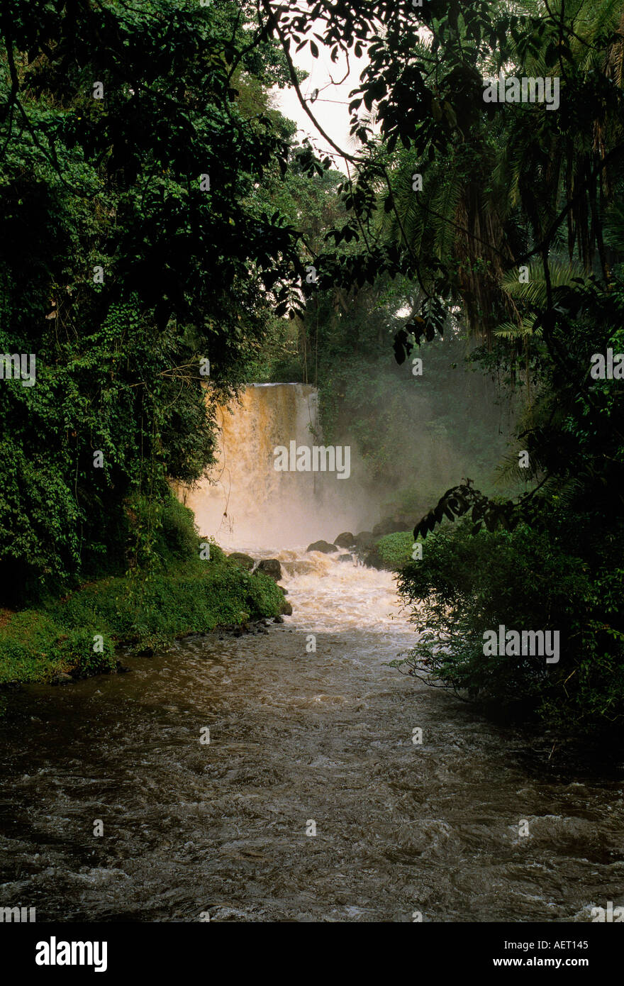 waterfall in jungle democratic republic of congo congo kinshasa Stock ...
